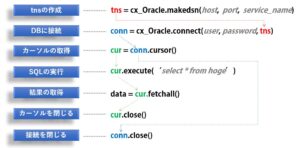 Python 】cx_OracleでOracleにアクセスしよう！ | 初学者DIYプログラミング入門